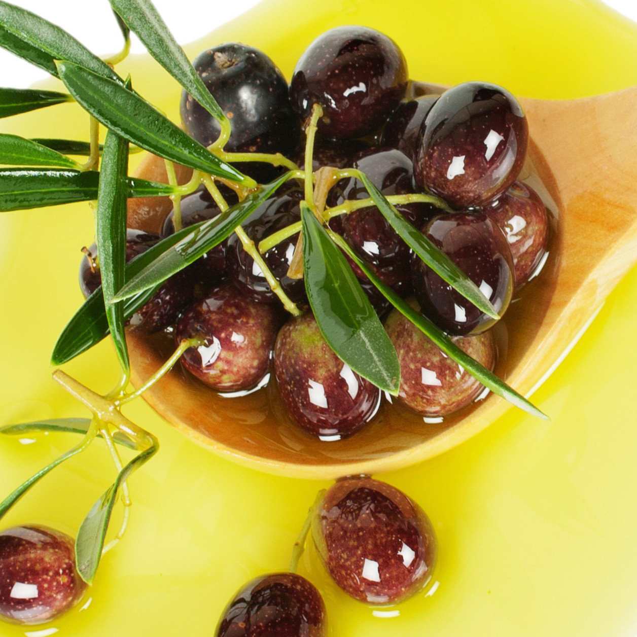 Which Mediterranean olive oil? - Mediterranean Foods Wholesale