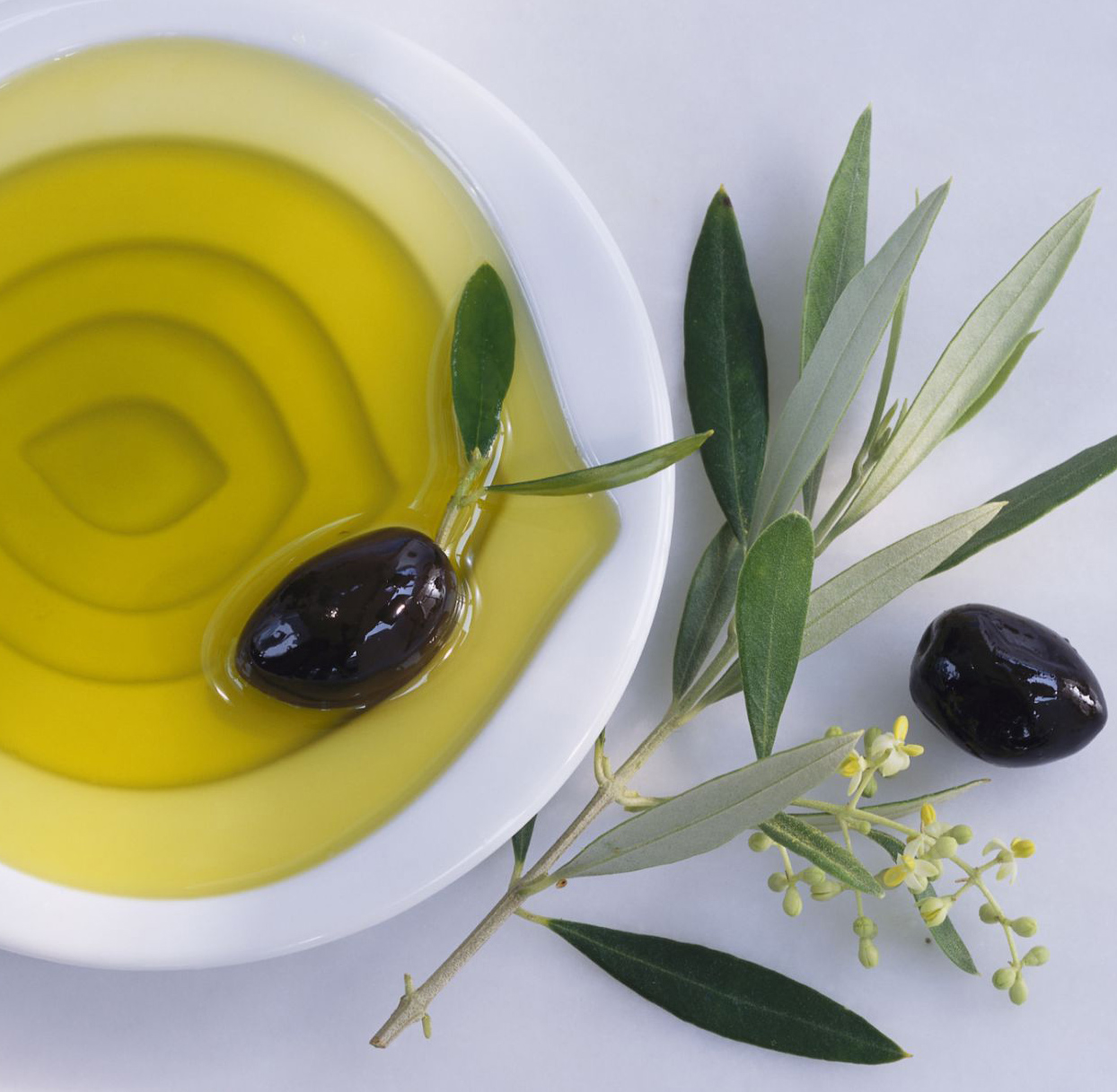 Which Mediterranean olive oil? - Mediterranean Foods Wholesale