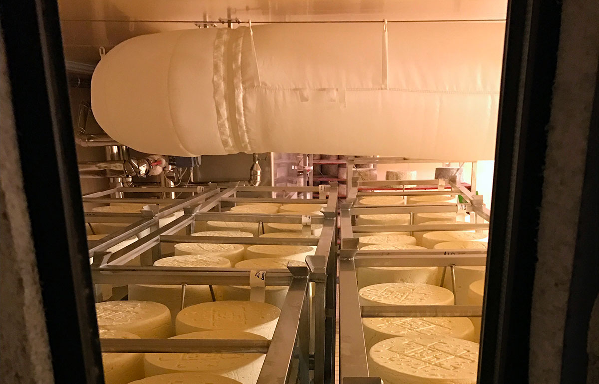 Mauri Formaggi: Buy from Med Foods Wholesale NZ